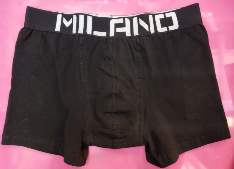 Milano Boxer Deportivo